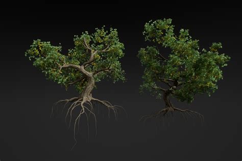 High Quality Stylized Tree 3d Trees Unity Asset Store
