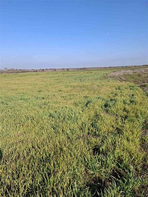 Продавам земя в с Стрелец Земеделска земя 8674 кв м трета категория Земеделска земя гр