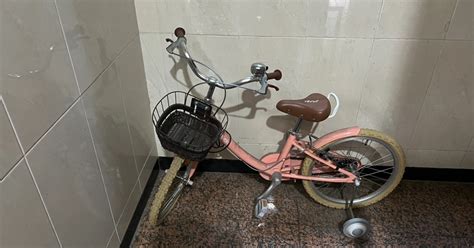 삼천리 딩고 유아 어린이 네발 보조바퀴 가벼운 여아 클래식 자전거 24 보정동 유아동 당근 중고거래