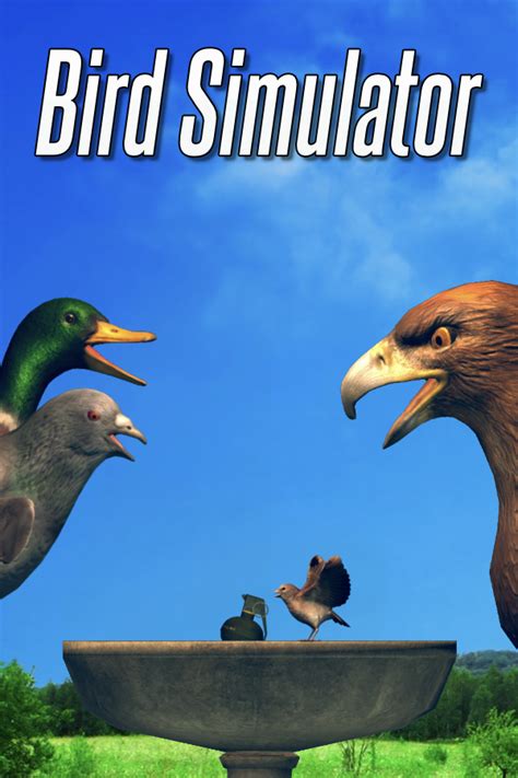 Bird Simulator Ocean Of Games
