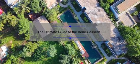 The Ultimate Guide To The Bene Gesserit Sisterhood Unveiling Their