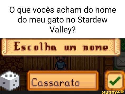 O Que Vocês Acham Do Nome Do Meu Gato No Stardew Valley Escolha Um