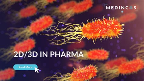 Unveiling Molecular Realms The Essence Of 2d And 3d Structures In