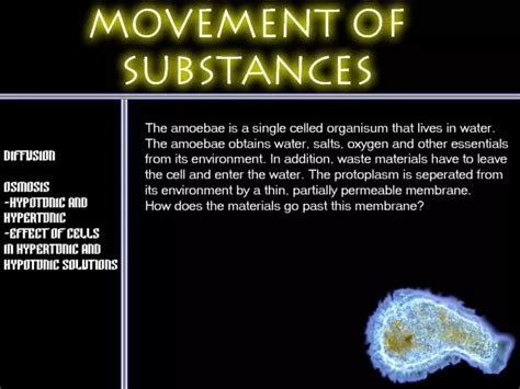 PPT Diffusion PowerPoint Presentation Free Download ID