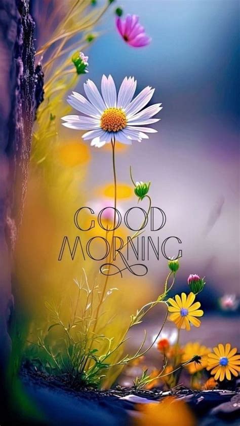 10 Good Morning Quotes Of 2024 To Embrace A Beautiful Season