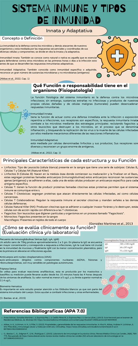 Sistema Inmune Y Tipos De Inmunidad Innata Y Adaptativa Principales