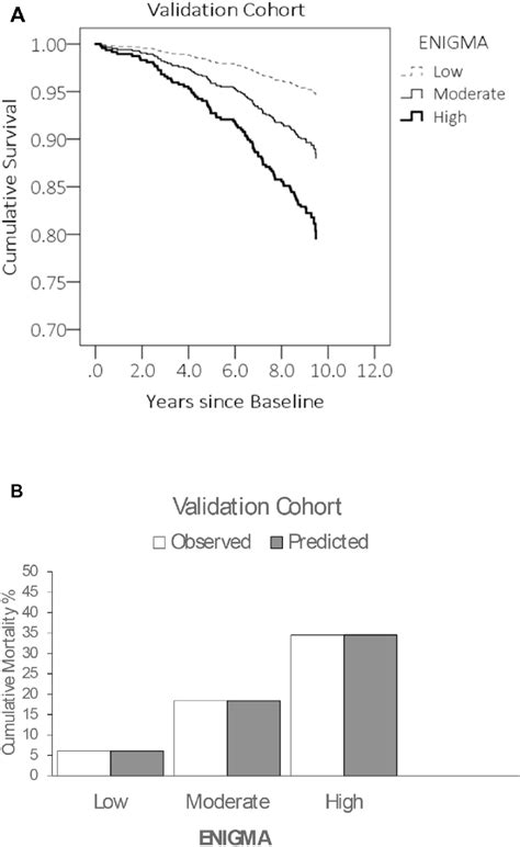 Cumulative Survival Function A And Cumulative Mortality Rates B By