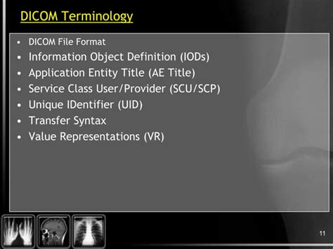 dicom structure basics