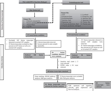 Flow Chart Representing The Selection Criterion Of Fusion Transcripts