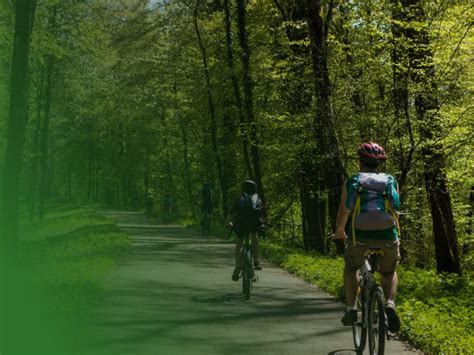 Erhan Güzel Kent Ormani