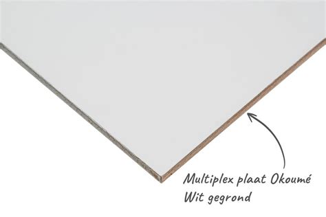Multiplex Plaat Okoume Triplex Wit Gegrond 250 X 122 Cm Buiten Buitendeuren Bouwmateriaal