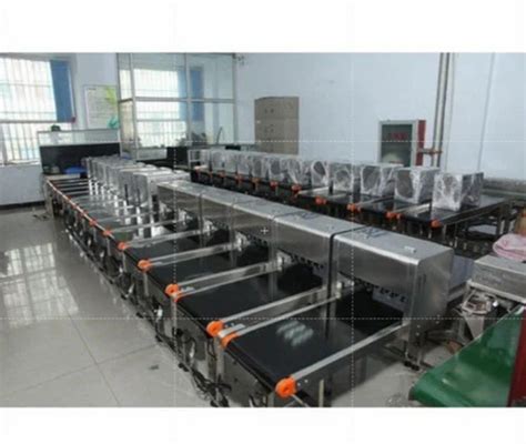 60 Piece Min Automatic Conveyor Batch Coding Machine At 245000 Piece