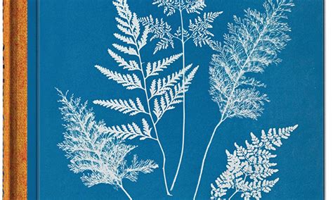 Anna Atkins And The Algae How The First Photobook Was Made In The Mid 1800s Flipboard