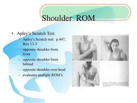Ppt Shoulder Evaluation Powerpoint Presentation Free Download Id