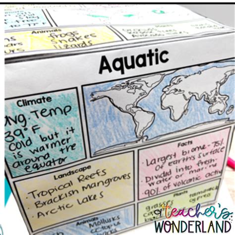 Biome Activities For Elementary Students A Teachers Wonderland