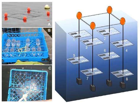 2 Pictures Of In Situ Incubations Showing The Different Parts Of The