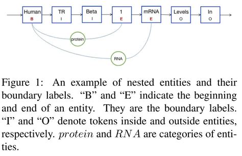 [论文解读]emnlp2019 a boundary aware neural model for nested ner a boundary aware neural model for