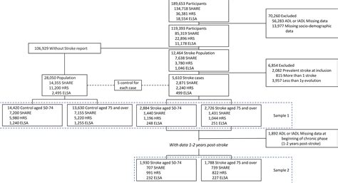 Long Term Evolution Of Functional Limitations In Stroke Survivors