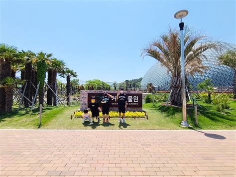 거제도 비오는날 아이와 가볼만한곳 추천 거제식물원 정글돔 네이버 블로그
