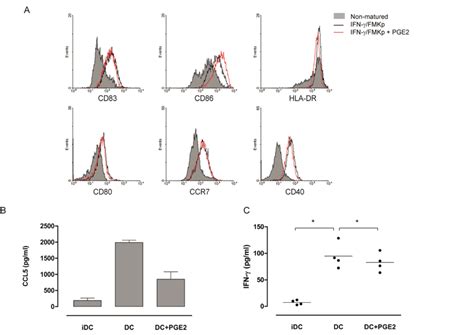 Phenotype Cytokine Production And Nk Cell Activating Properties Of