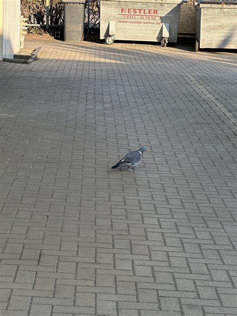 Mitarbeiter Des Monats Wer Kennt Ihn Nicht Robert Fritsche