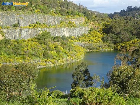 Vườn Quốc Gia Dandenong Ranges Và Những Trải Nghiệm Không Nên Bỏ Lỡ