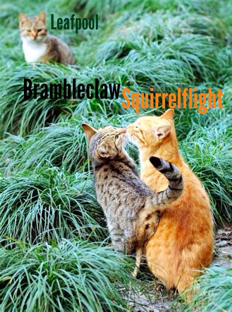 Discover 58 Leafpool And Warrior Cats Fan Art Ideas Warrior Cats