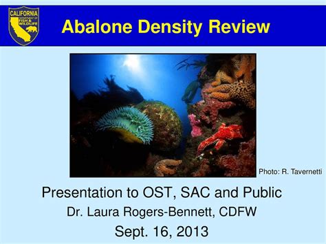 Scientific Review Of Red Abalone Survey And Density Estimation Methods