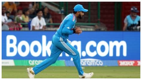 Icc World Cup 2023 রানের রাজা ফিল্ডিংয়েও সেরা বিশ্বকাপে একাধিক