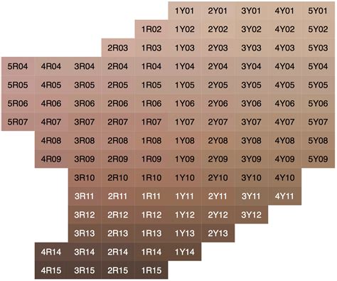 Makeup Skin Color Chart Saubhaya Makeup