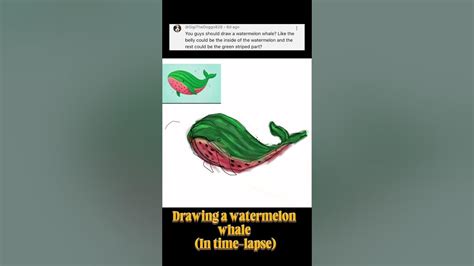 Drawing Watermelon Whale In Time Lapse Art Cute Request Youtube