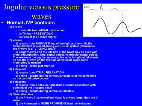 Ppt Pathophysiology Of Pericardial Disease Ims 350 Powerpoint