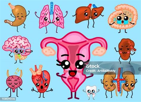 귀여운 오르간 행복 한 사람 웃는 문자의 집합입니다 벡터 핀 만화 귀 엽 다 아이콘입니다 건강 한 심장 위 간 방광 자 궁 기관