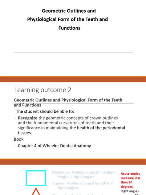 Lecture 2 Geometric Shapes Physiology Occlusion And Function Pdf