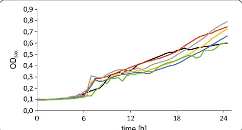 The Growth Curves Of Y Lipolytica Strains In Ynb Medium Supplemented