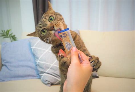 おやつだってからだに優しく！ 合成添加物不使用おやつや機能性おやつの「モンプチ ナチュラルキッス」 Peco（ペコ）