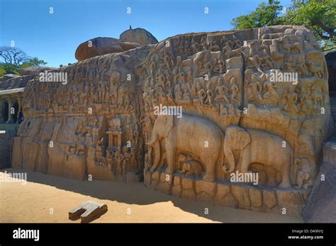 Mamallapuram Mahabalipuram Elephant Sculpture Hi Res Stock Photography