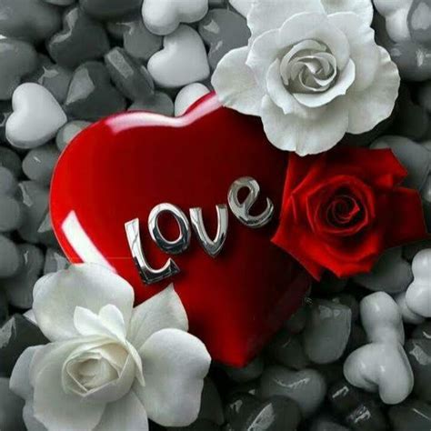 Stupar Boris Youtube