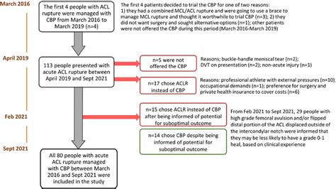 Participant Flow Chart Acl Anterior Cruciate Ligament Aclr Anterior