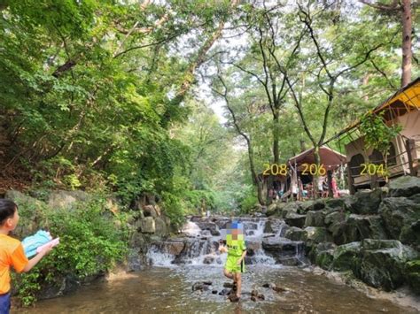 서울 근교 과천 서울대공원 캠핑장 217번 이용후기 명당자리 주차 전기카트 네이버 블로그