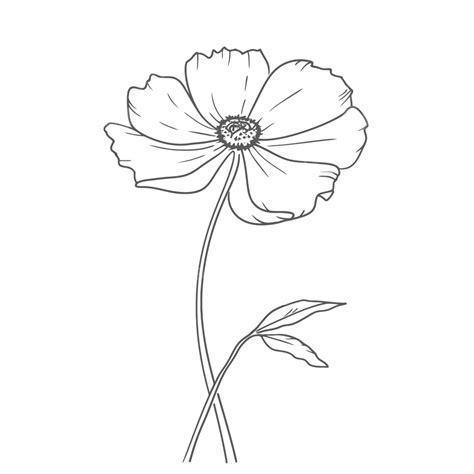 Dibujos Para Colorear Y Imprimir Flores Para Imprimir