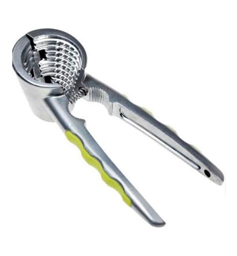 Conical Nutcracker Sassafras Nuts