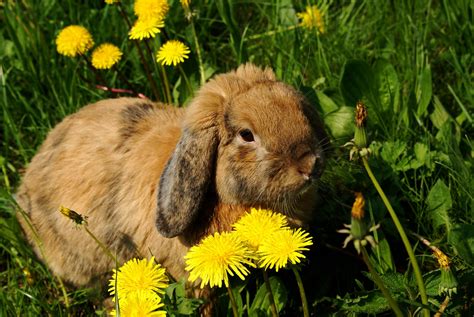 Spring Time By Photo Exile On Deviantart