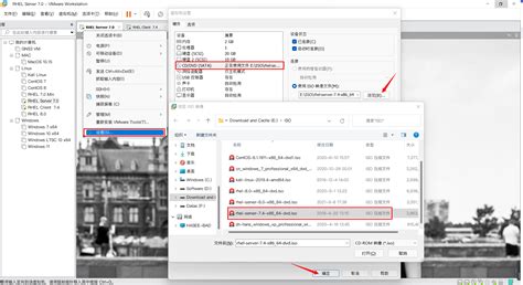 dhcp server setup