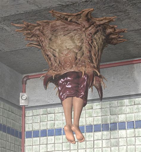 Barnacle Vore