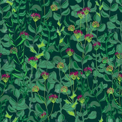矢量无缝模式草本，枝，花和茎与叶。森林植物插图。背景，墙纸，织物，纺织品，包装，纸张素材 花瓣网