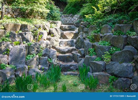 Natural Stone Steps With Grass Stock Image Image Of Natural Stone