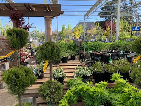 Moana Nursery Plant Nursery At 11301 S Virginia St Reno Nv 89511