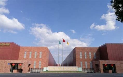 Top Lithium Ion Battery Manufacturers In China Tritek