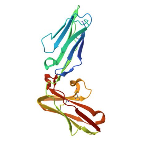 Gene Q8nhj6 Protein Lilrb4 Overview Cansarai